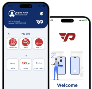PegPay App | Pegasus Technologies